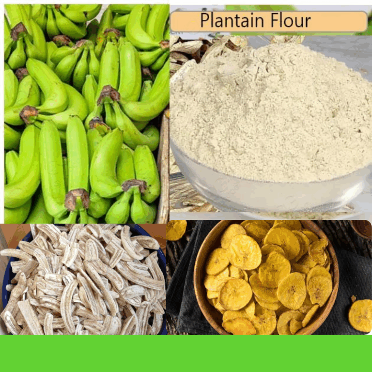 Plantain Processing – Agrodemy